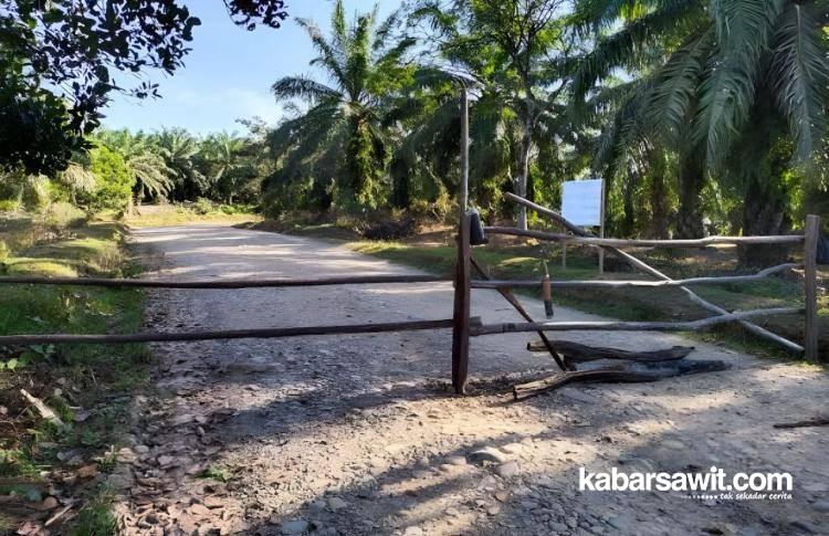 Kebun Plasma PT Agro Muko Sasaran Empuk Bagi 'Ninja' Sawit - kabarsawit.com