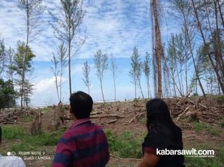 Taman Wisata Alam Pantai Panjang Mulai 'Ternodai' - kabarsawit.com