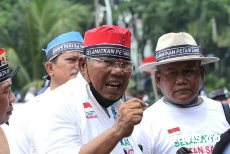 DPR Soroti Pembangkit Listrik Tenaga Biomassa dari Tandan Kosong Sawit ...