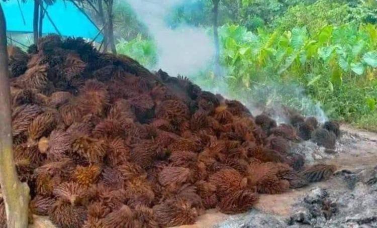 Kandungan Abu Tankos Kelapa Sawit - kabarsawit.com